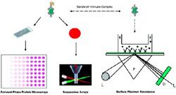 Creative Proteomics Blog