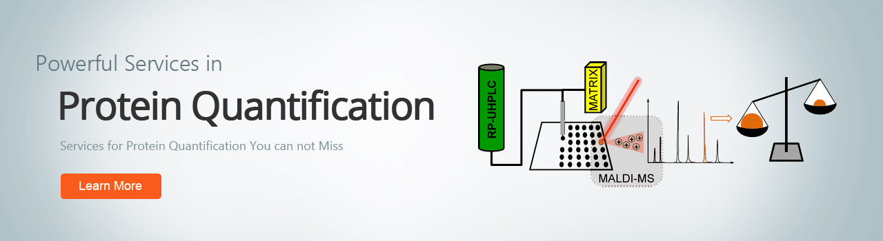 Creative Proteomics Blog