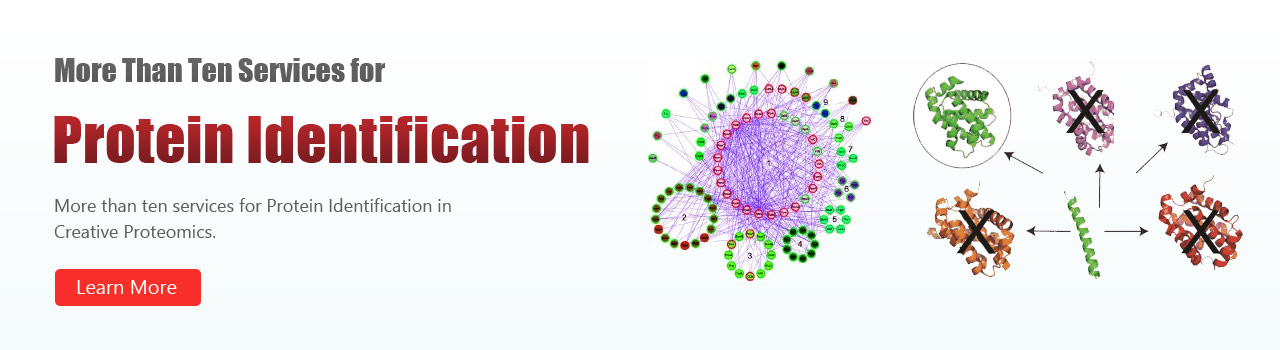 Creative Proteomics Blog