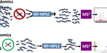 Creative Proteomics Blog