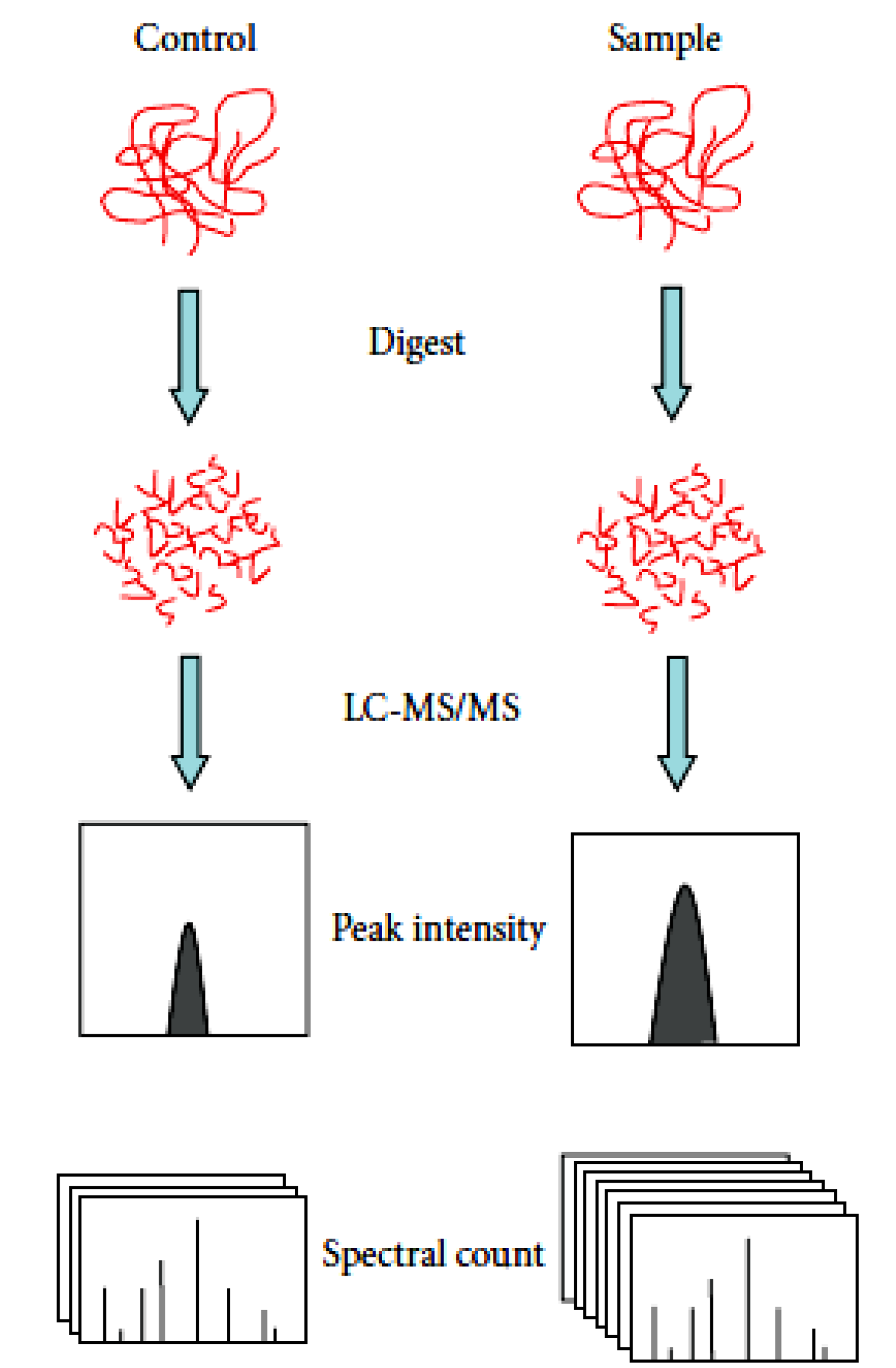 Proteomics Approaches to Studying Protein Relative Quantification - Creative Proteomics Blog