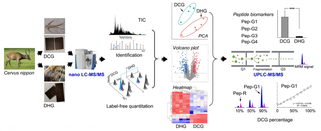 Peptidomics - Enriching Proteomics Research - Creative Proteomics Blog