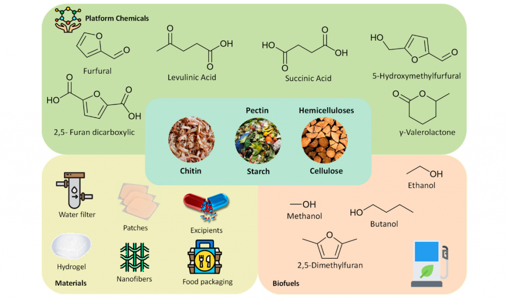Polysaccharide Examples Importance Of Polysaccharides