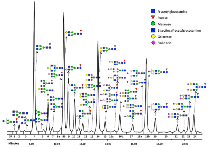 N-Glycan Profiling Service - Creative Proteomics N-Glycan Profiling Service - Creative Proteomics