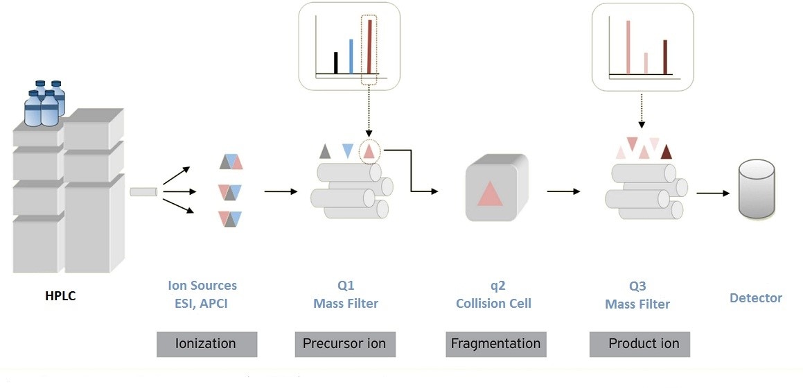 Triple Quadrupole Mass Spectrometry - Creative Proteomics Triple Quadrupole Mass Spectrometry - Creative Proteomics