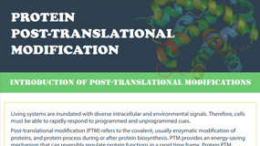Peptidoglycan Structure Analysis - Creative Proteomics