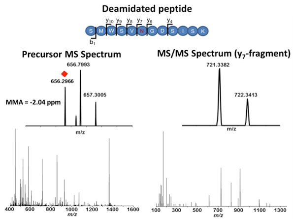 Deamidation And Oxidation Analysis Service Pronalyse