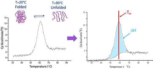 Differential Scanning Calorimetry (DSC) - Pronalyse