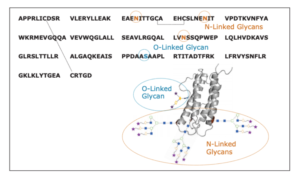 O-Glycans Profiling - Pronalyse