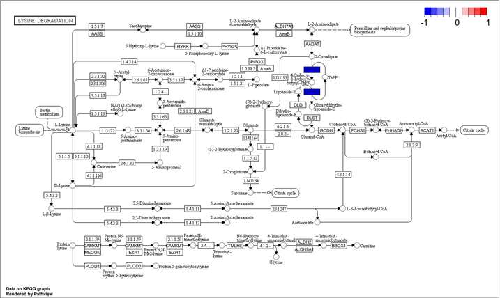 Cell Proliferation Assay Creative Proteomics Automated Single Cell